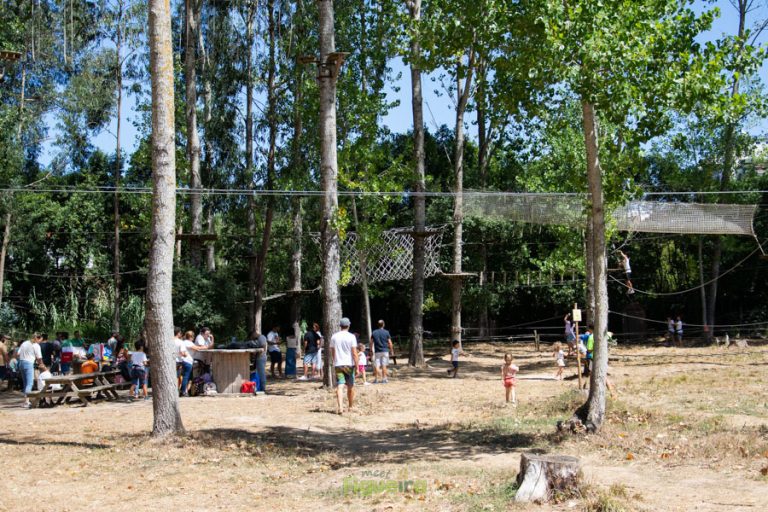 Arborismo, uma viagem de árvore em árvore no Parque Aventura Figueira ...